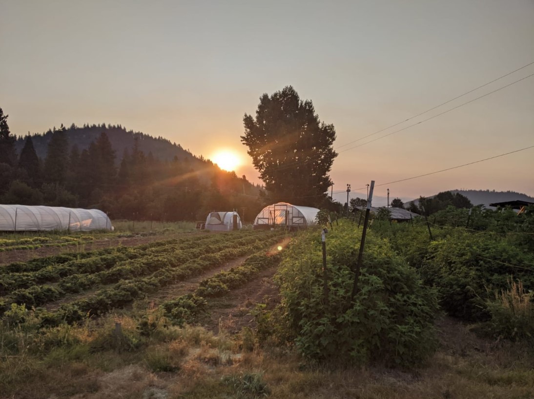Lost Sierra Food Project – The Lost Sierra Chamber of Commerce